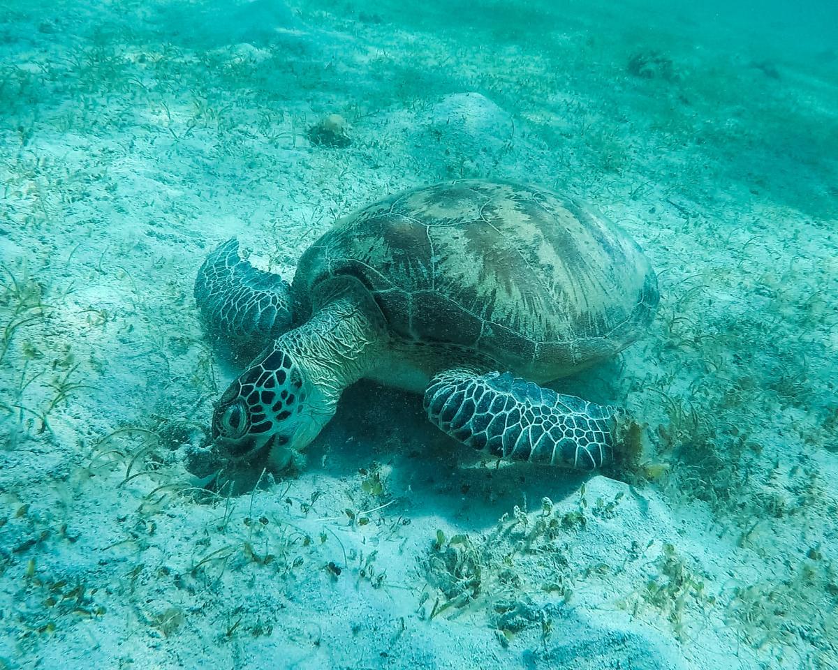 The Ultimate Palawan Itinerary for 10 Days (2025) - Hungariandreamers