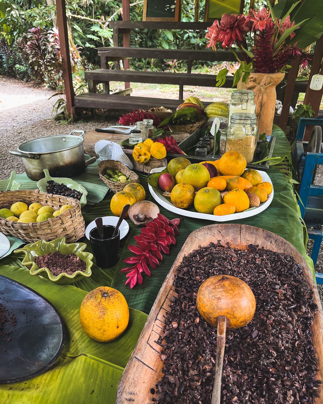 The Best Chocolate Tour in Costa Rica - Hungariandreamers