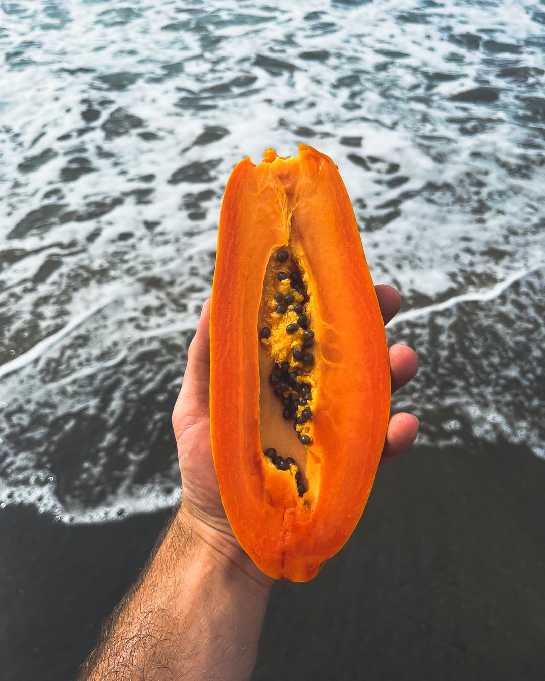 10 Best Things to Do in Puerto Viejo, Costa Rica - Hungariandreamers
