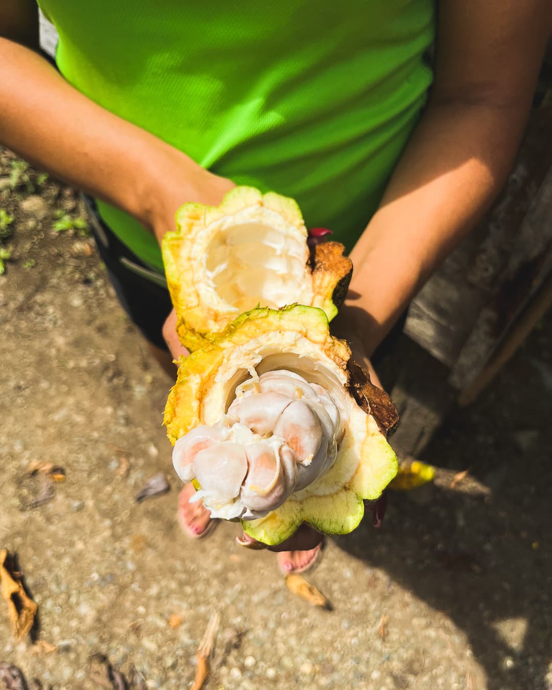 The Best Chocolate Tour in Costa Rica - Hungariandreamers