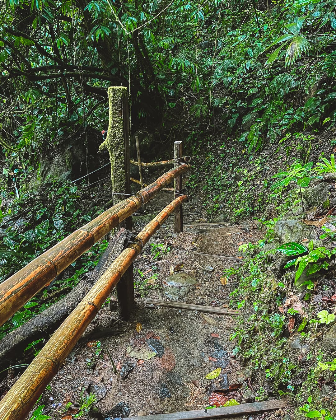 The Ultimate Guide to Visiting Nauyaca Waterfalls - Hungariandreamers