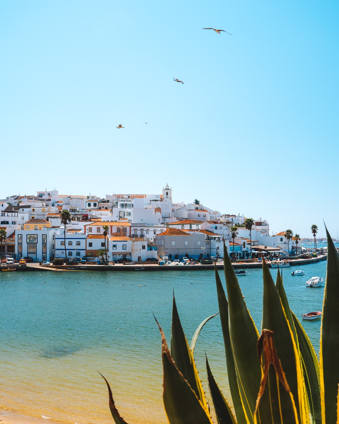 10 Best Beaches in the Algarve You Must Visit - Hungariandreamers