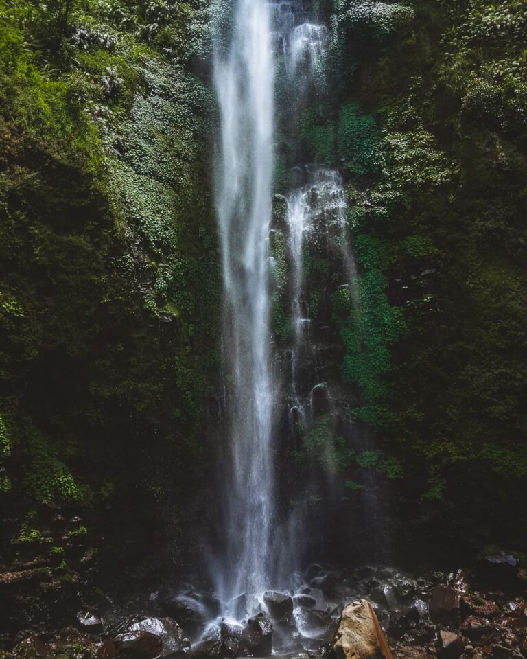 5 Best Things to Do in Malang, Indonesia - Hungariandreamers