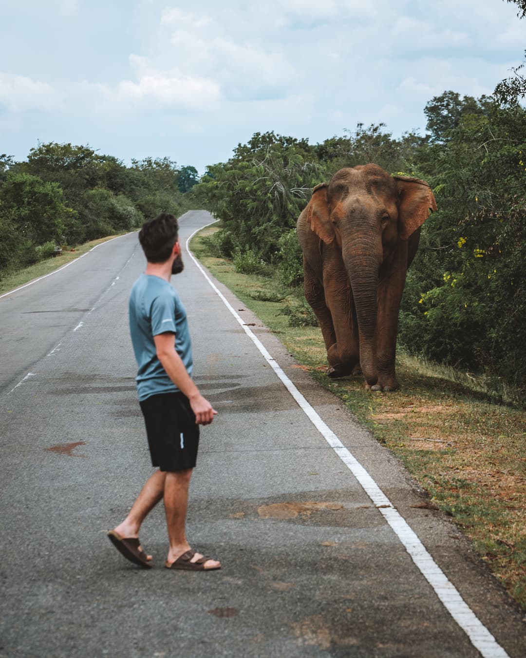 The Ultimate Sri Lanka Itinerary for 14 Days (2025) - Hungariandreamers