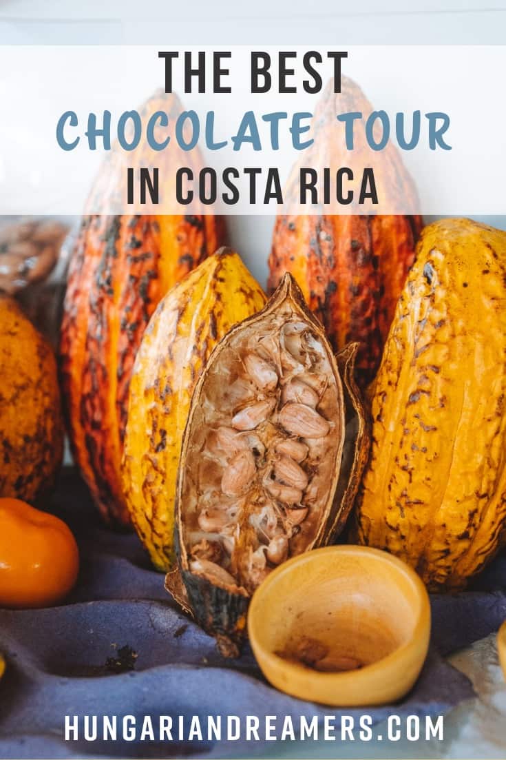 The Best Chocolate Tour in Costa Rica - Hungariandreamers
