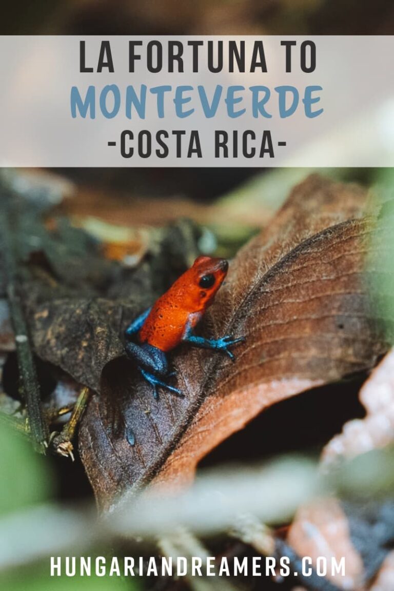 Best Ways: How to Get from La Fortuna to Monteverde - Hungariandreamers