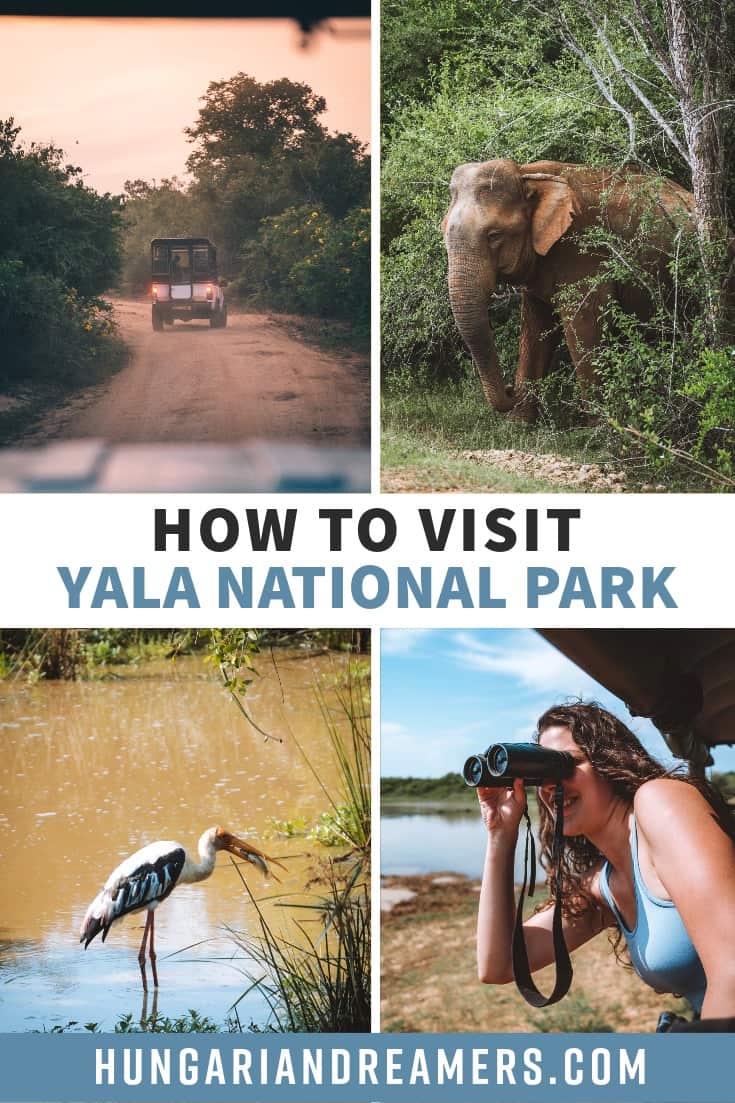 The Ultimate Guide to Visiting Yala National Park, Sri Lanka ...