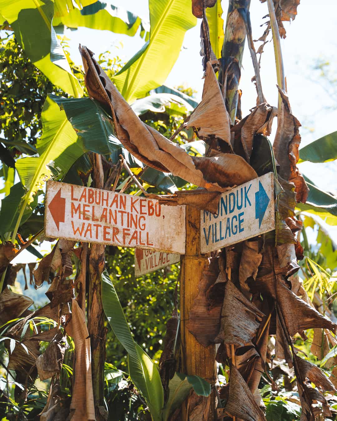 Munduk Four Waterfalls Trek: Complete Guide (+Map) - Hungariandreamers