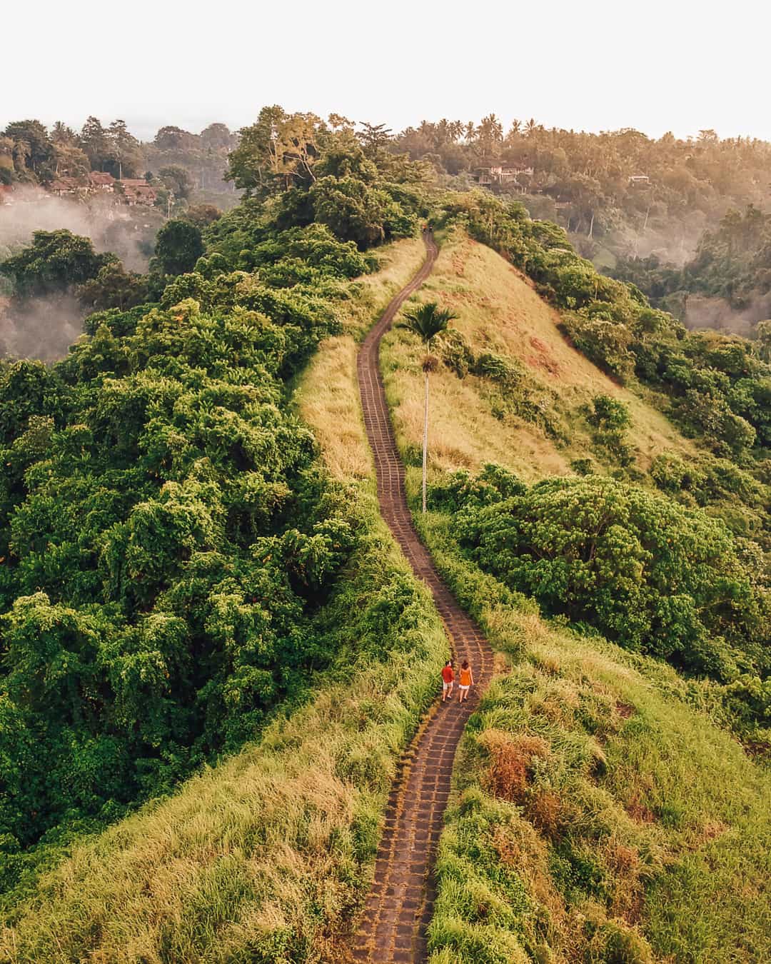 How to Get to the Campuhan Ridge Walk in Ubud - Hungariandreamers