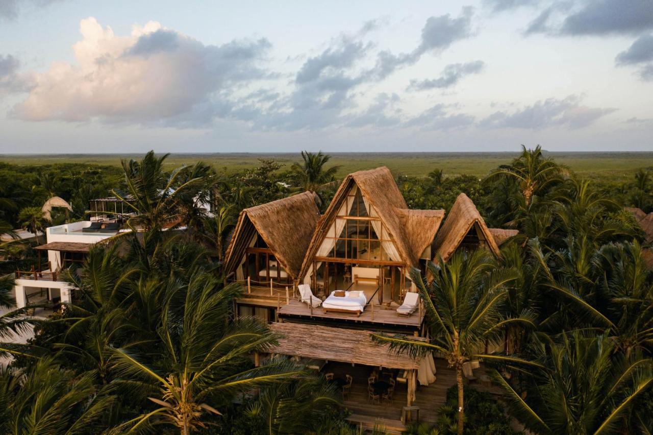 The Ultimate Guide to Visiting Cenotes Casa Tortuga Tulum ...