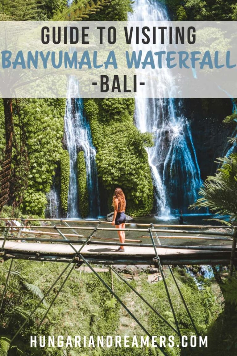 How to Visit Banyumala Twin Waterfall in North Bali - Hungariandreamers